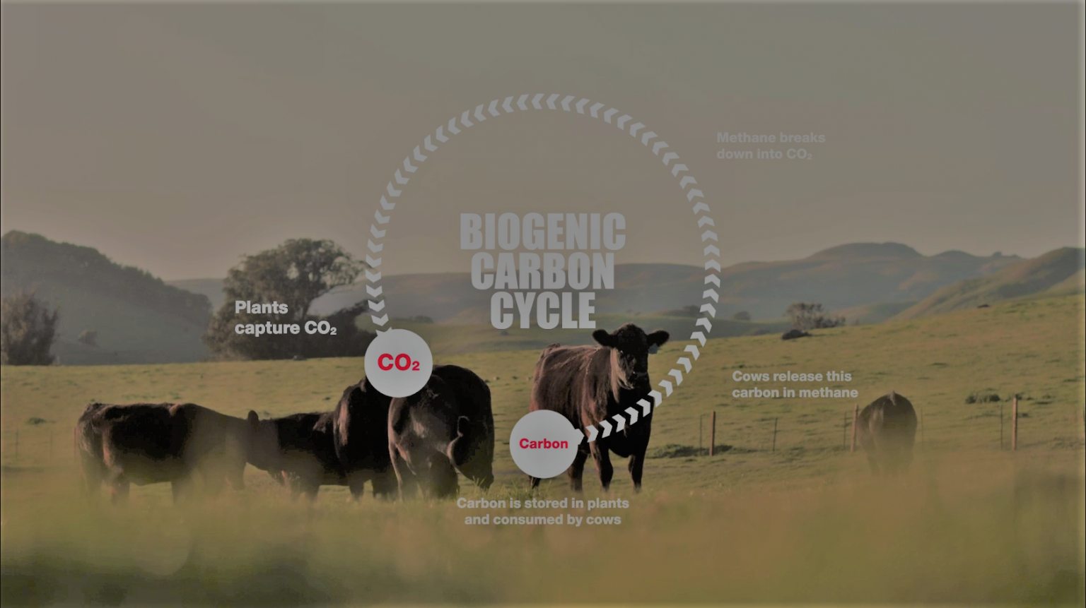 Rewind Documentary: Episode 1 Is Now Live - Real Leather. Stay ...